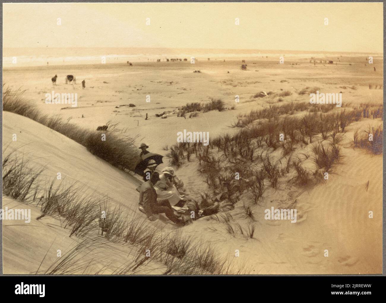 "A snug corner - mouth of Hokio Stream in the distance": 'Boxing Day at ...