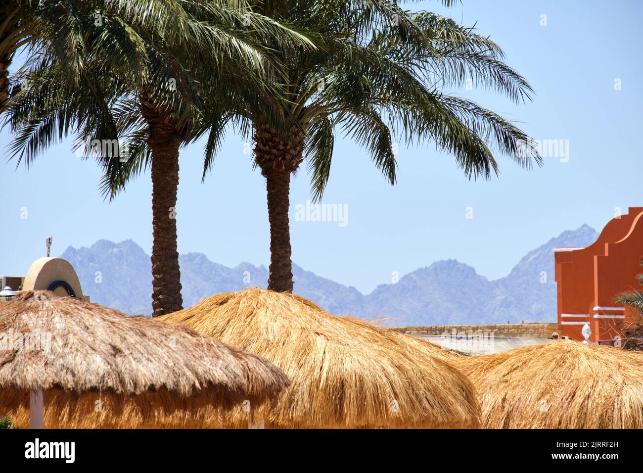 Straw shade umbrellas under green palm trees in tropical region against ...