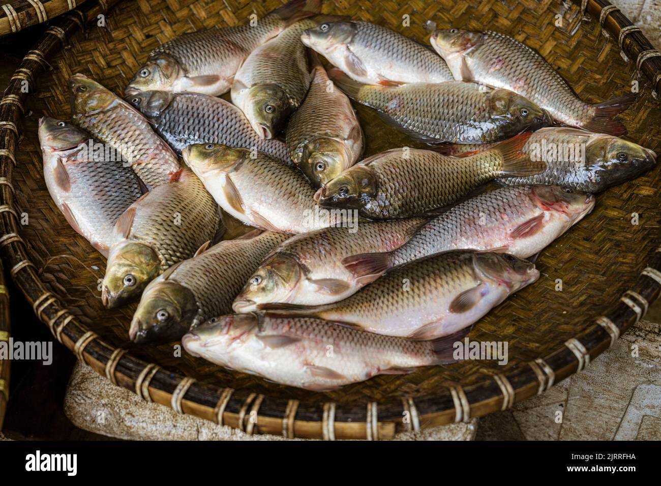 Java, Indonesia, June 13, 2022 - Fish in a basket for sale at a market ...