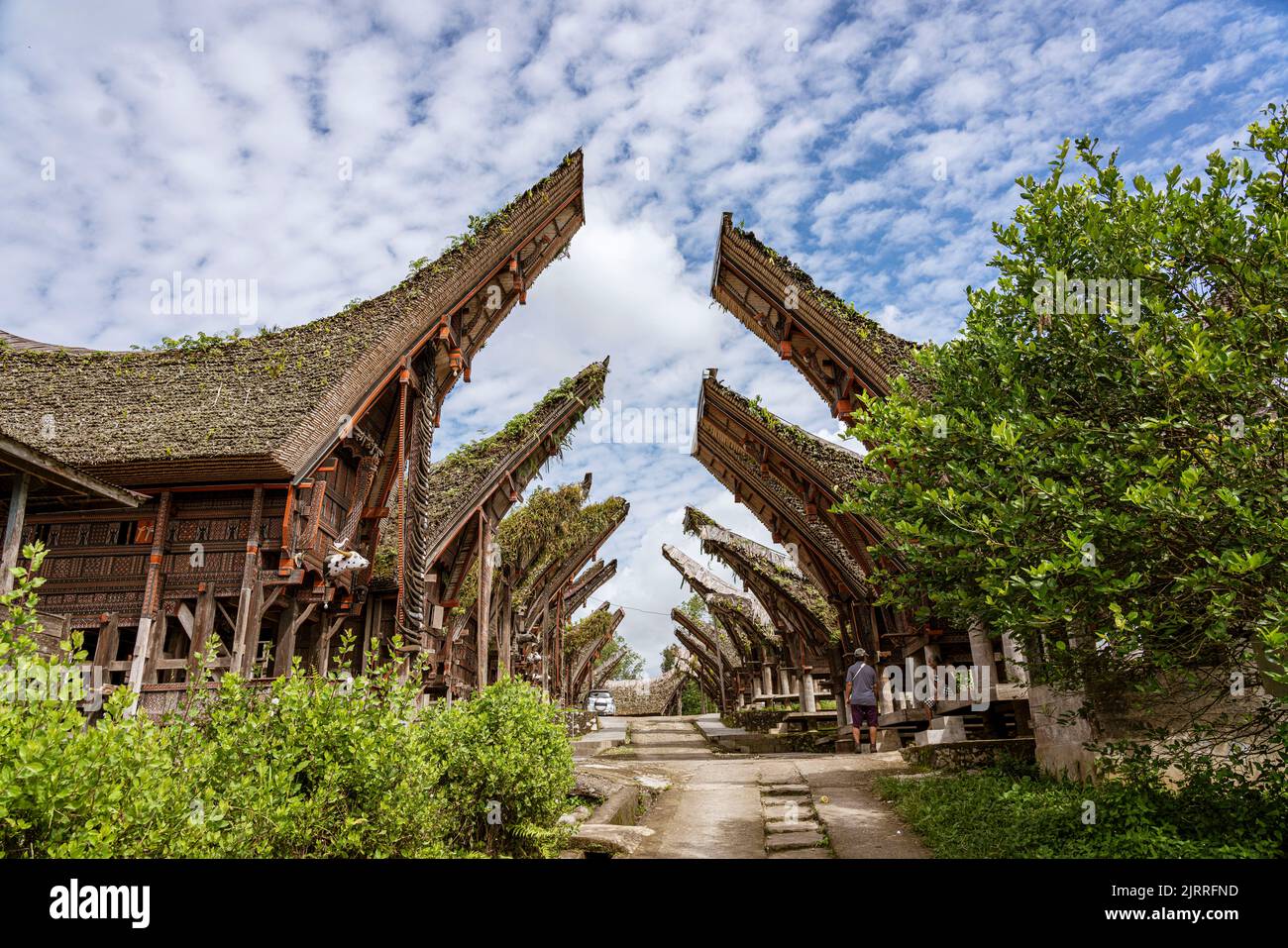 Java, Indonesia, June 13, 2022 - Toraja homes all follow the same rigid ...