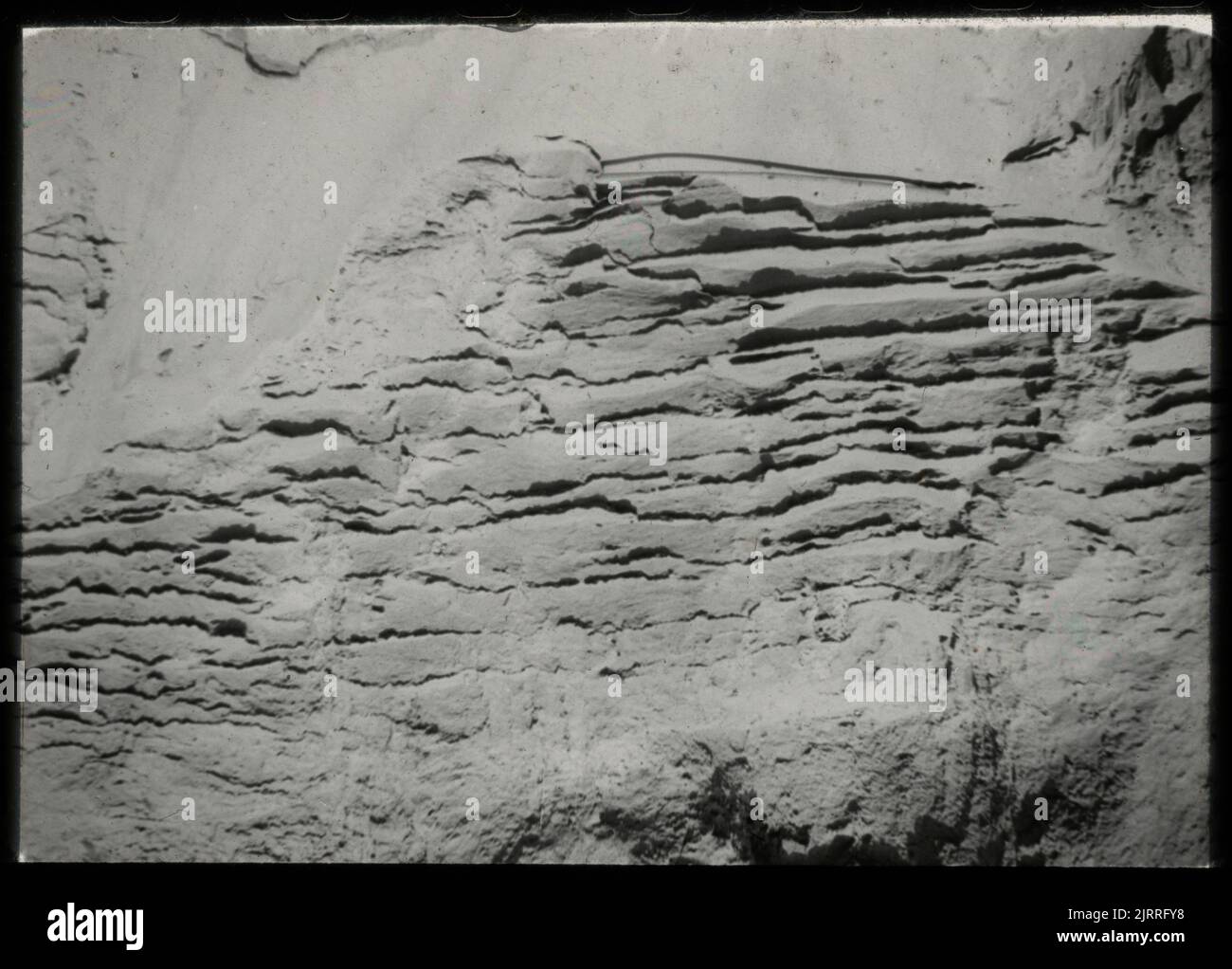 Laminated blown sand (showing typical coarse type of lamination ...