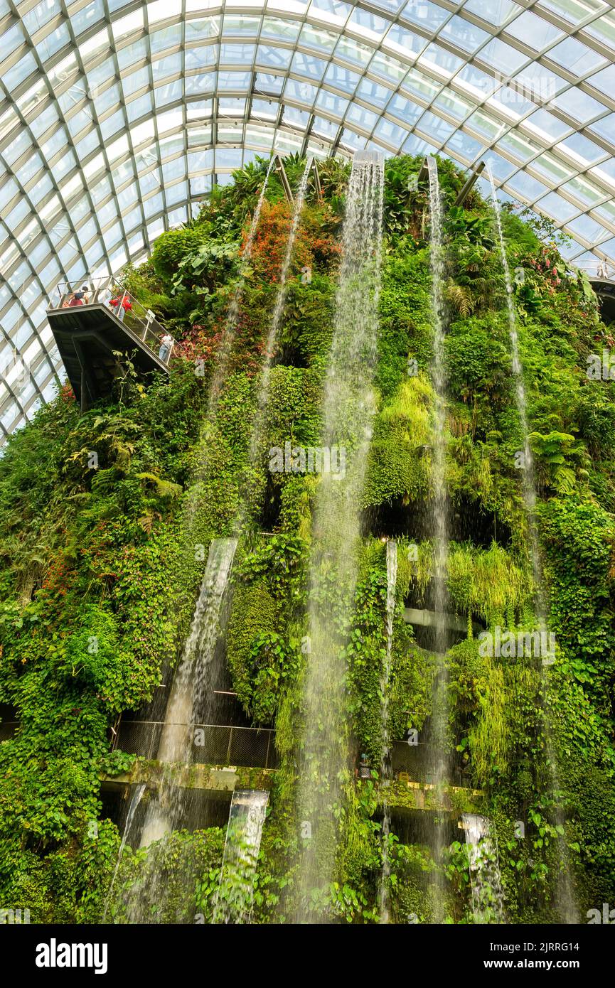 The Indoor Waterfall taken from the ground in the Cloud Forest at the ...