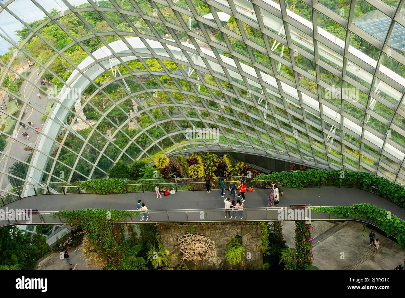 The Cloud Walk in the Cloud Forest at the Gardens by the Bay, Singapore ...