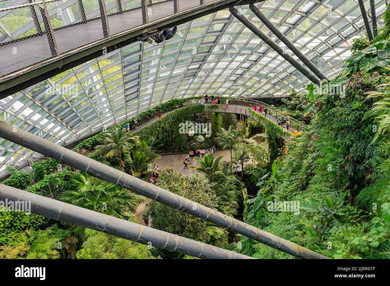 The Cloud Walk in the Cloud Forest at the Gardens by the Bay, Singapore ...
