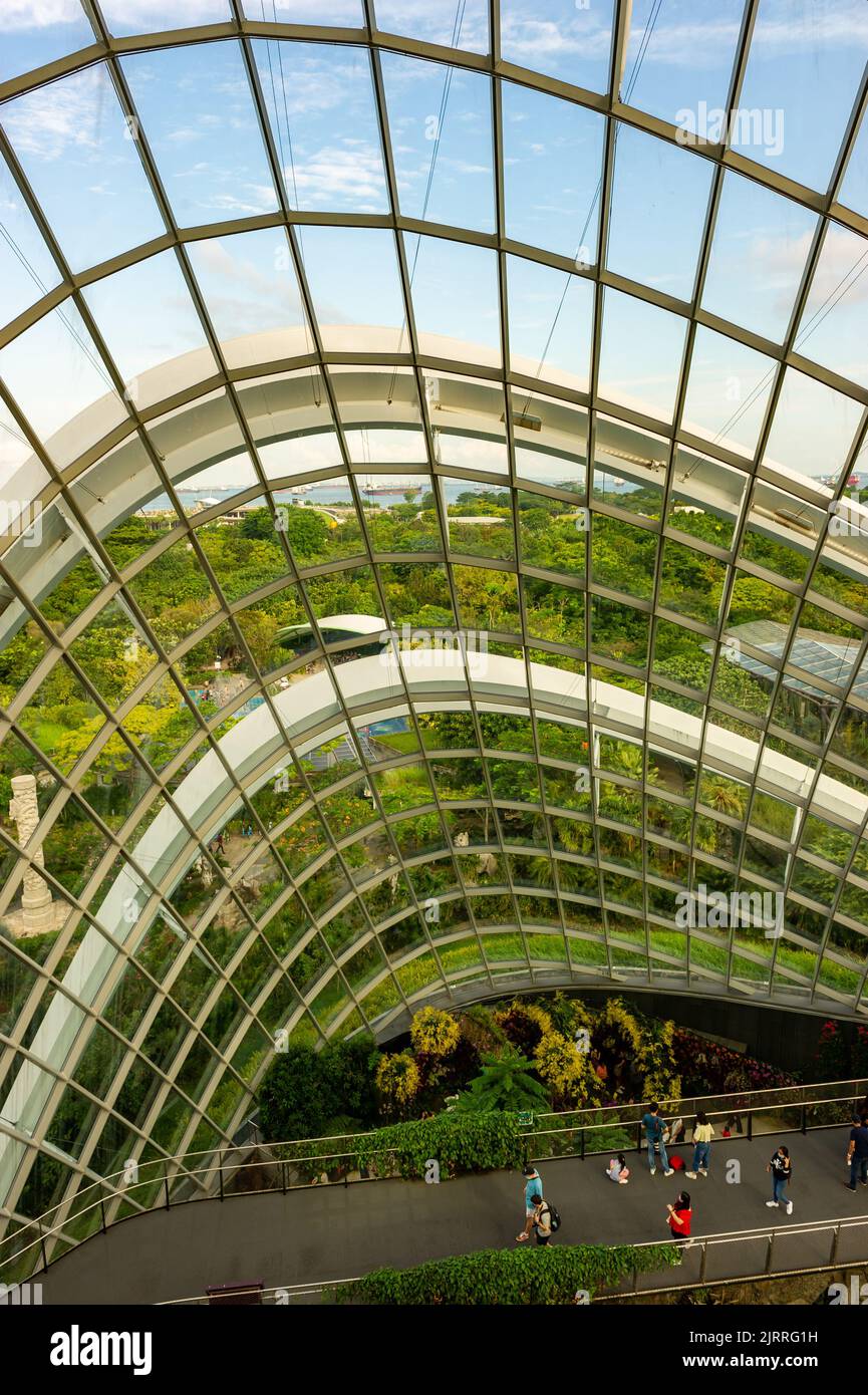 The Cloud Walk in the Cloud Forest at the Gardens by the Bay, Singapore ...