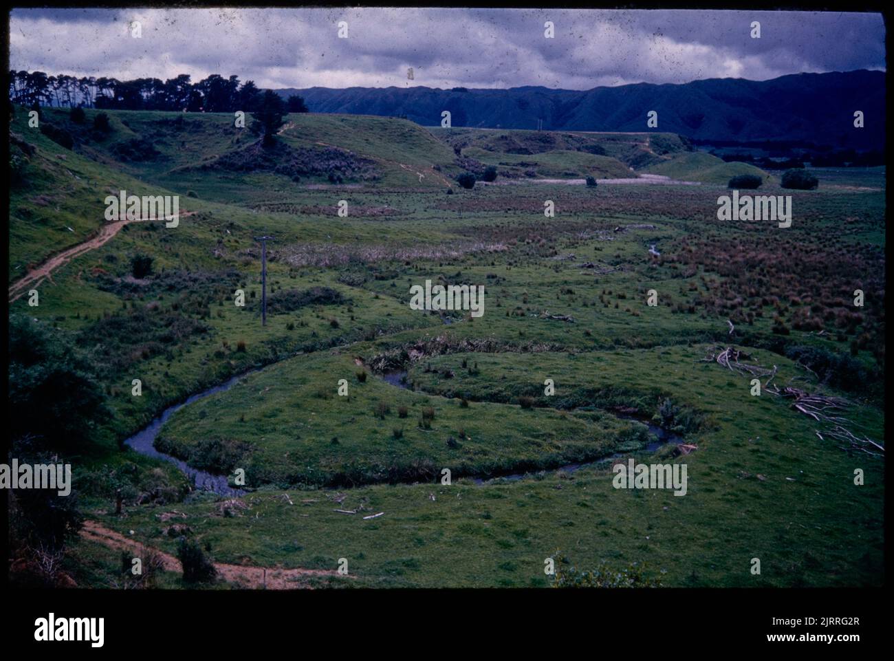 Southern escarpment of the ihakara reserve hi-res stock photography and ...