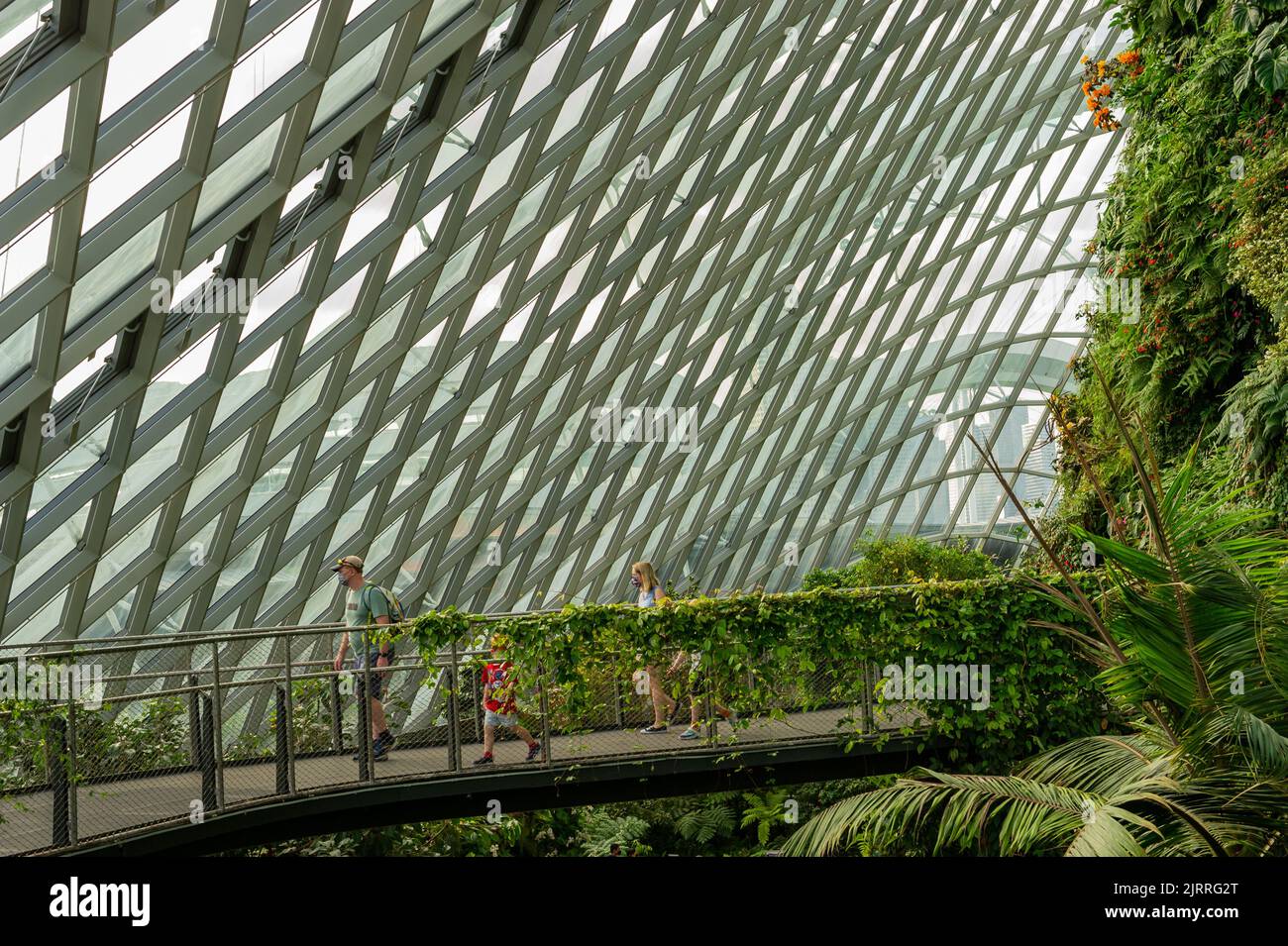 The Cloud Walk in the Cloud Forest at the Gardens by the Bay, Singapore ...
