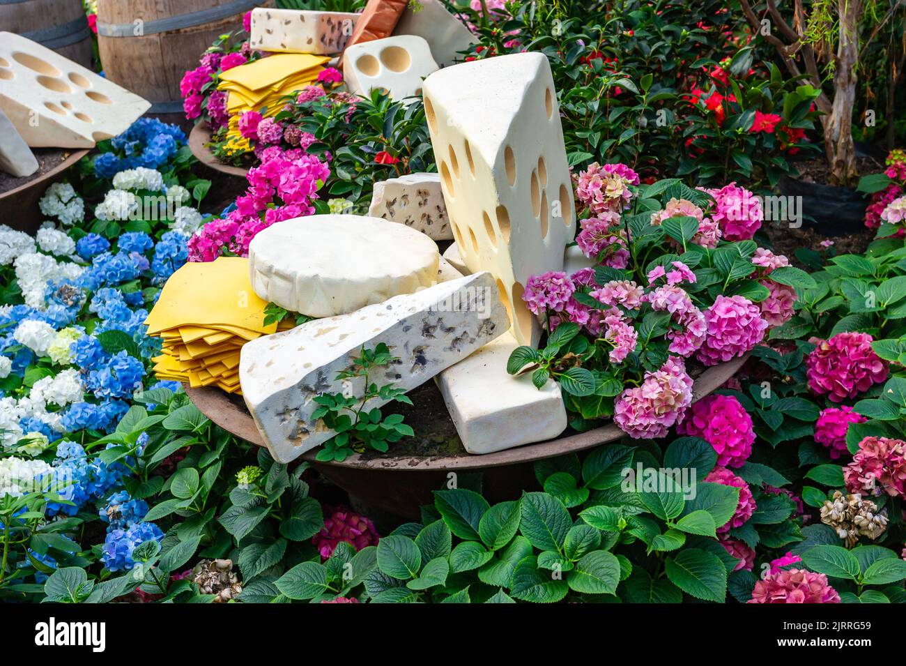 A cheese display at Dutch Section in the Flower Dome at the Gardens by ...