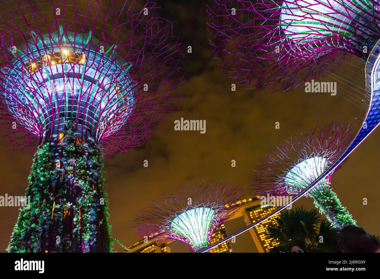 The Supertree Grove evening Light Show at the Gardens by the Bay ...