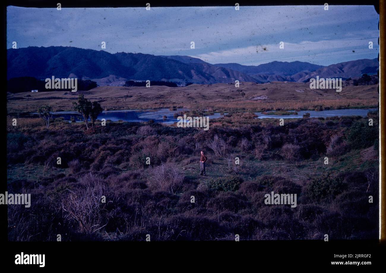 Maori Geographic and Cultural features of dune belt north of the ...