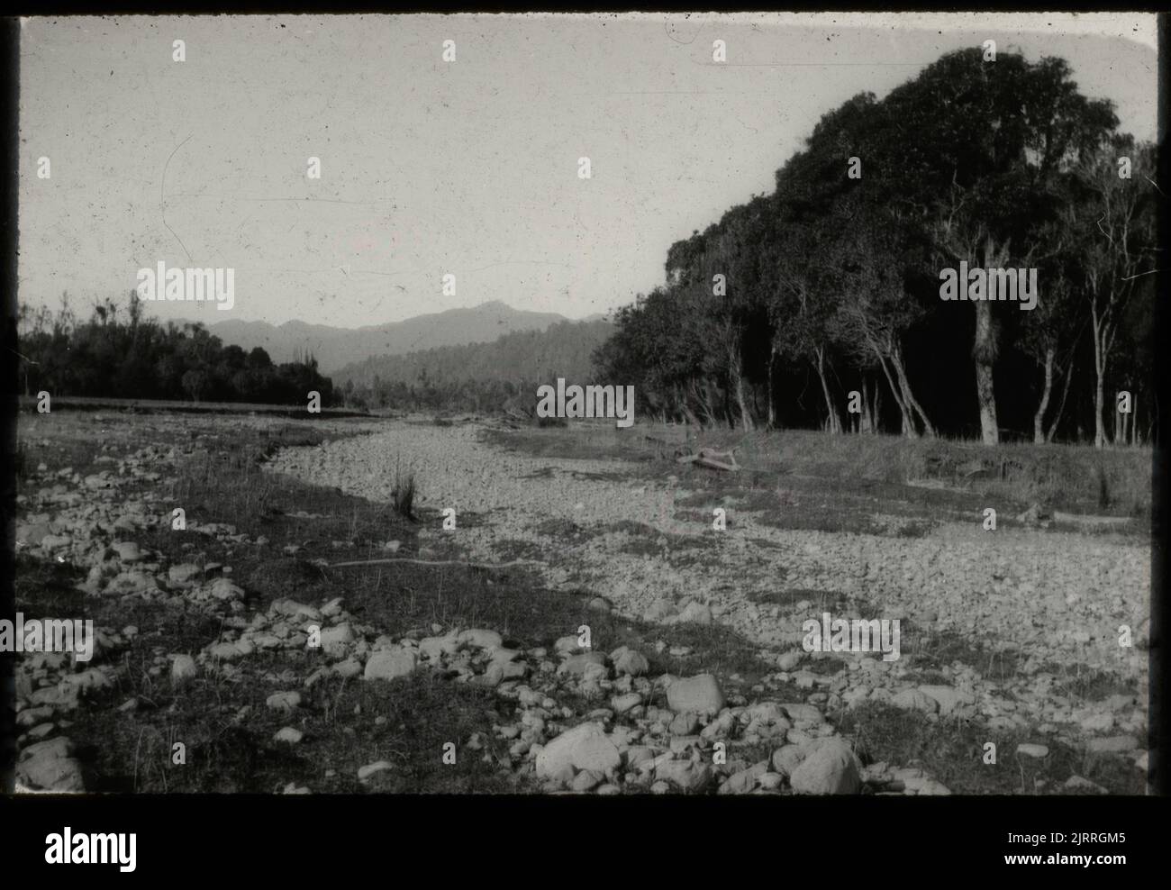 Ohau River looking upstream from Kimberley Road Reserve, near Levin ...