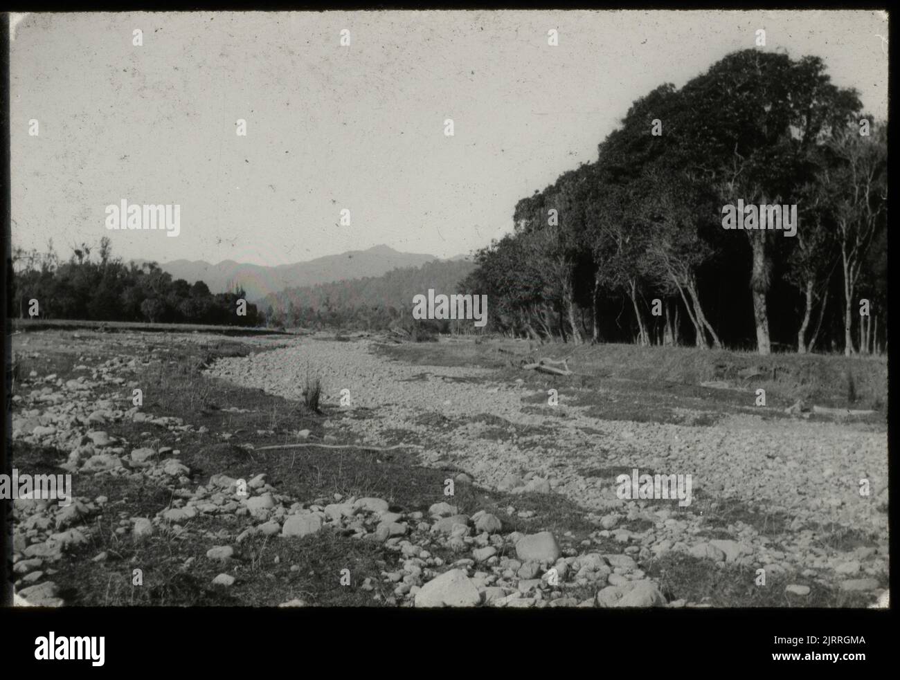 Ohau river looking upstream from kimberley road reserve hi-res stock ...