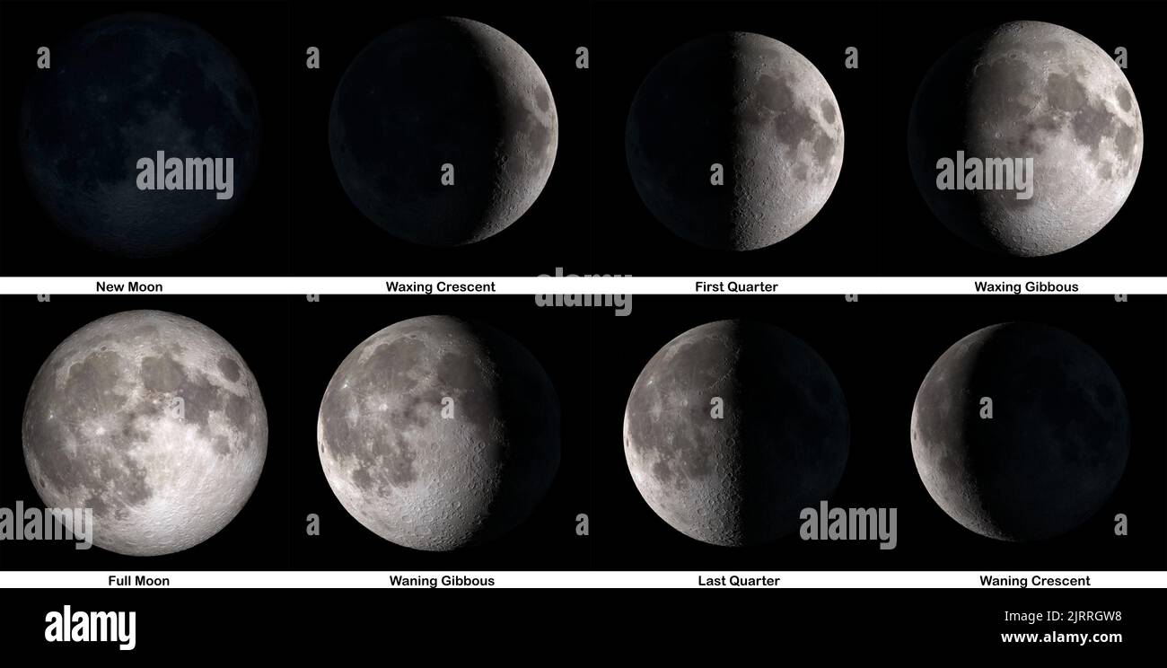 The phases of The Moon. Elements of this image were furnished by NASA ...
