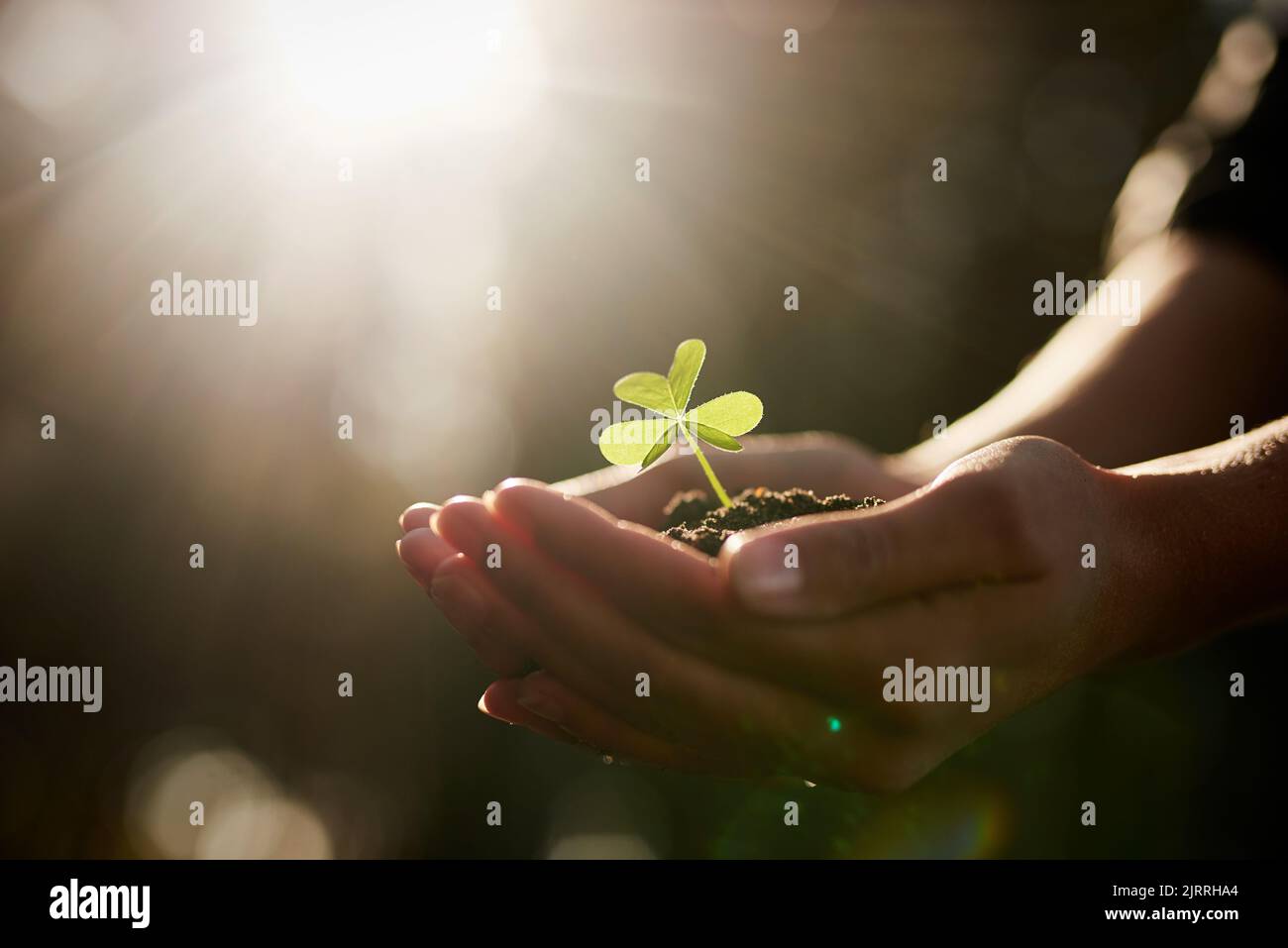 Holding hope for tomorrow. an unidentifiable young woman holding a ...