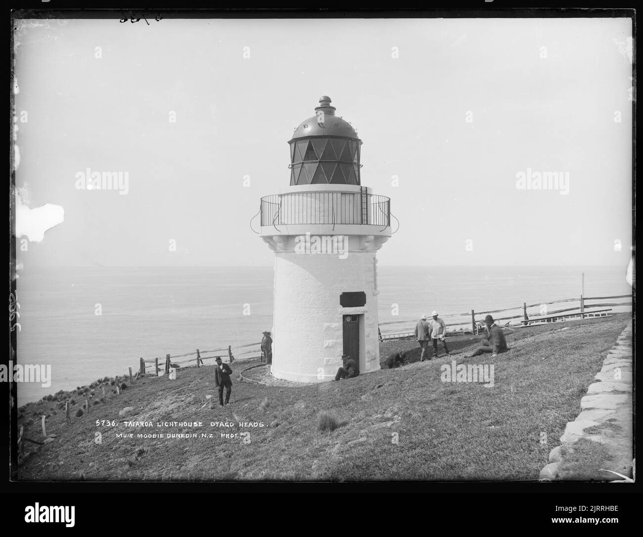 New zealand taiaroa heads hi-res stock photography and images - Alamy
