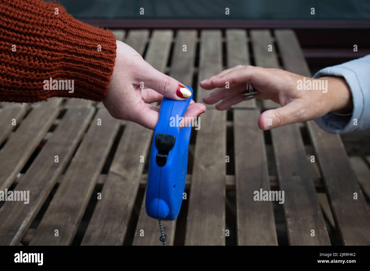 Take dog for a walk hi-res stock photography and images - Alamy