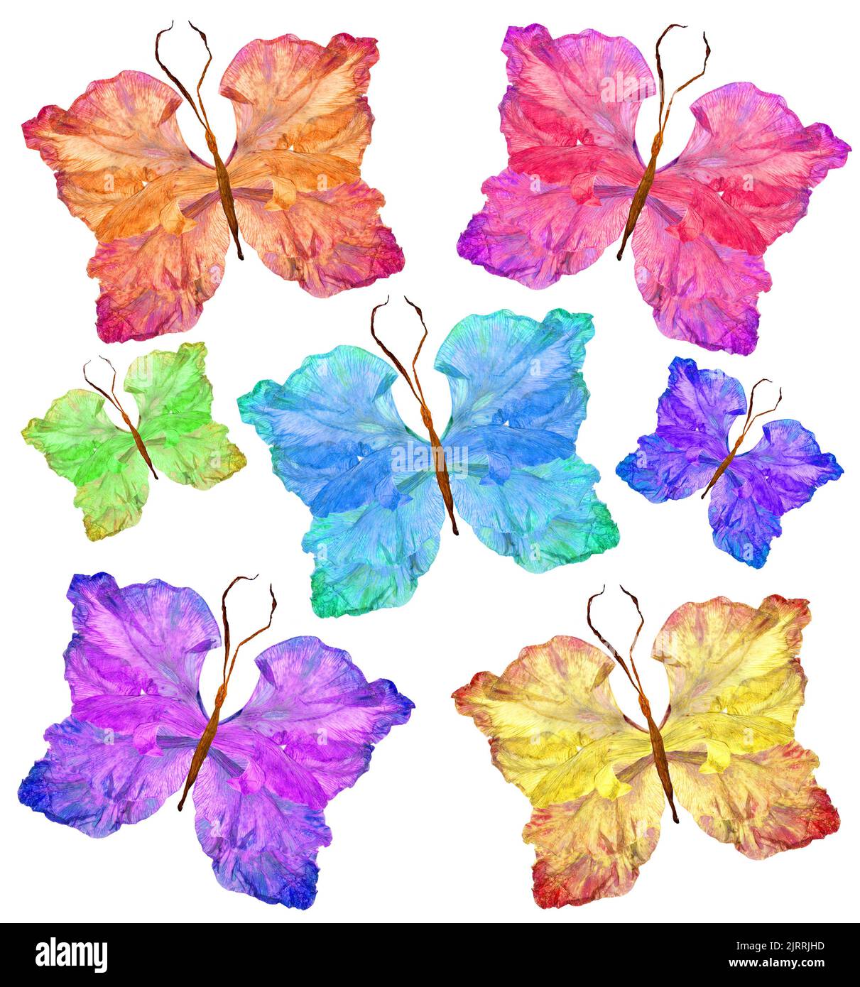 floral butterfly made from bizarre curved extruded dried lily petals ...