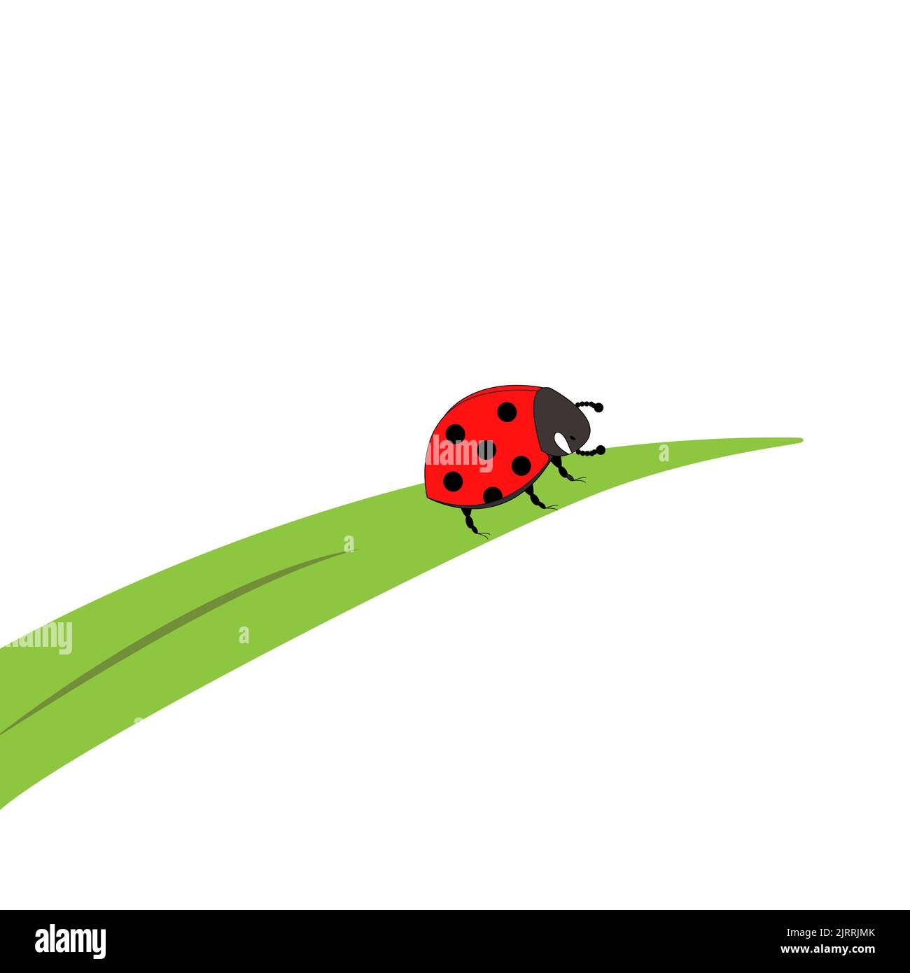 Cartoon bug hi-res stock photography and images - Alamy