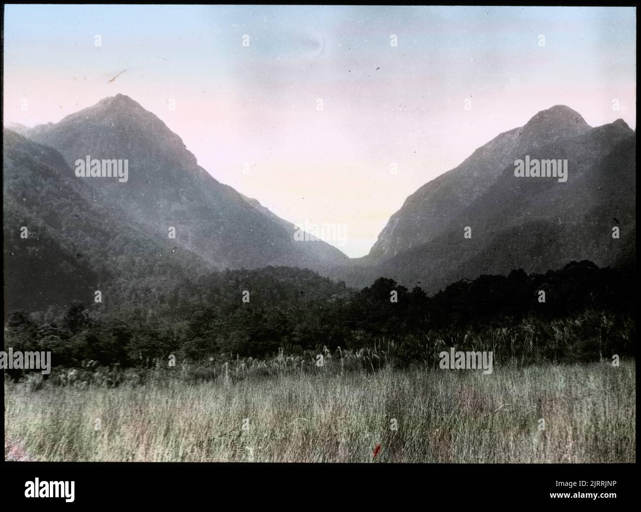 Wilmot Pass from Deep Cove, Doubtful Sound, Southland, by Algernon ...
