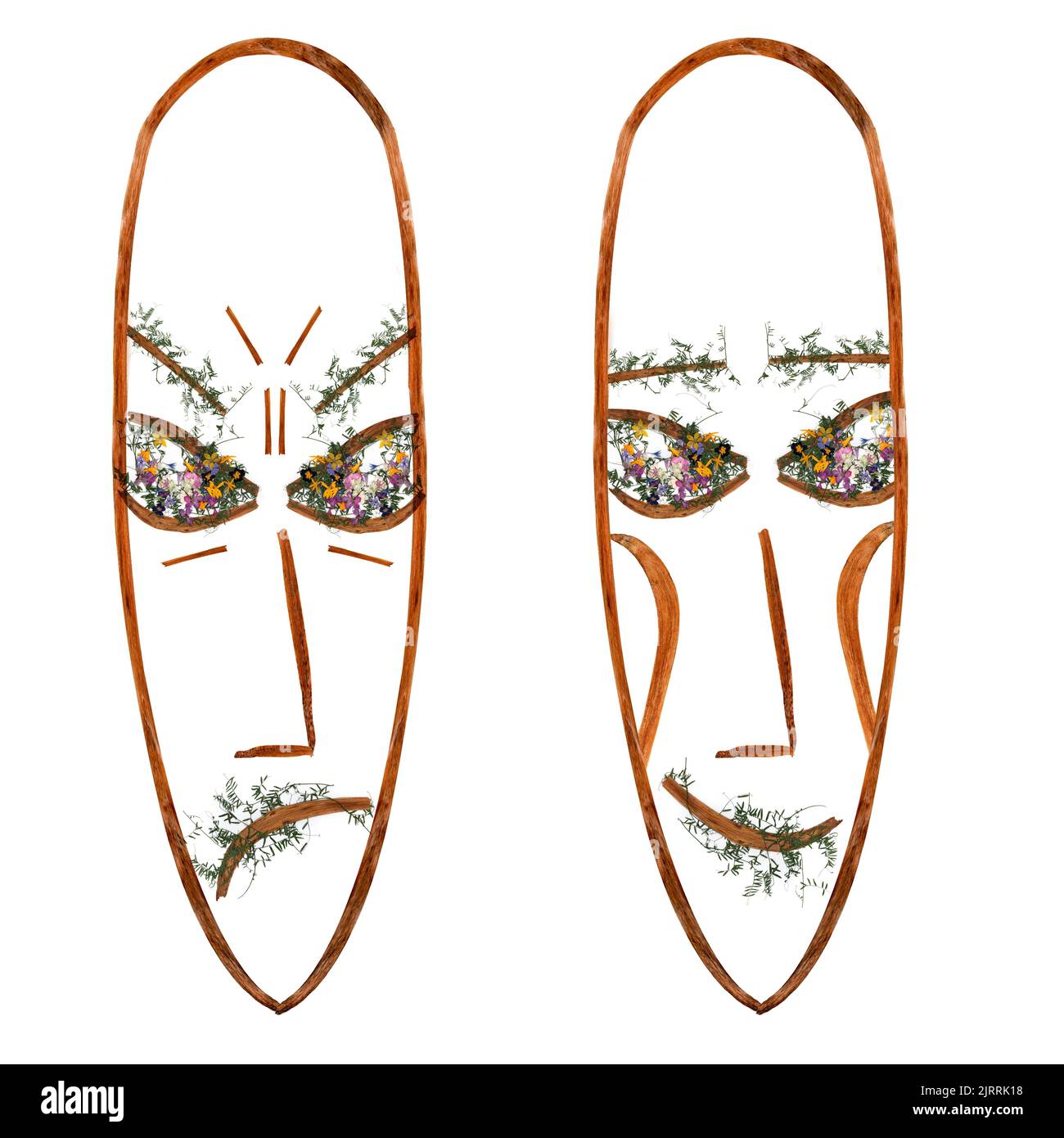 application, mask male face of dry pressed flowers Stock Photo - Alamy