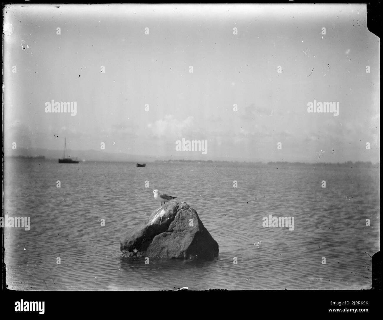 Robert falla hi-res stock photography and images - Alamy