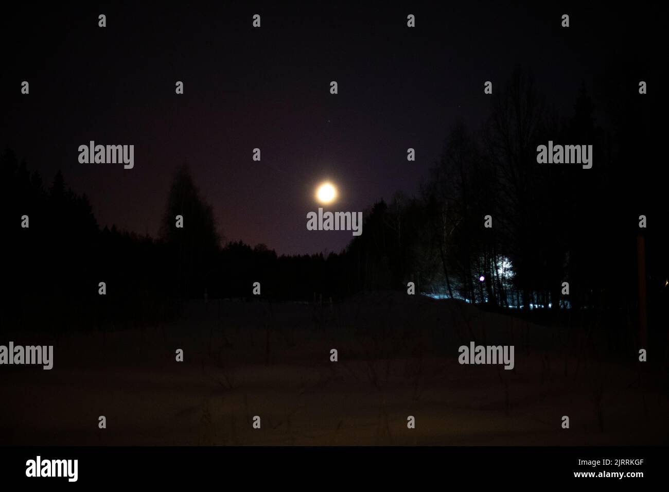 Night landscape with moon. Details of landscape at night. View of moon ...