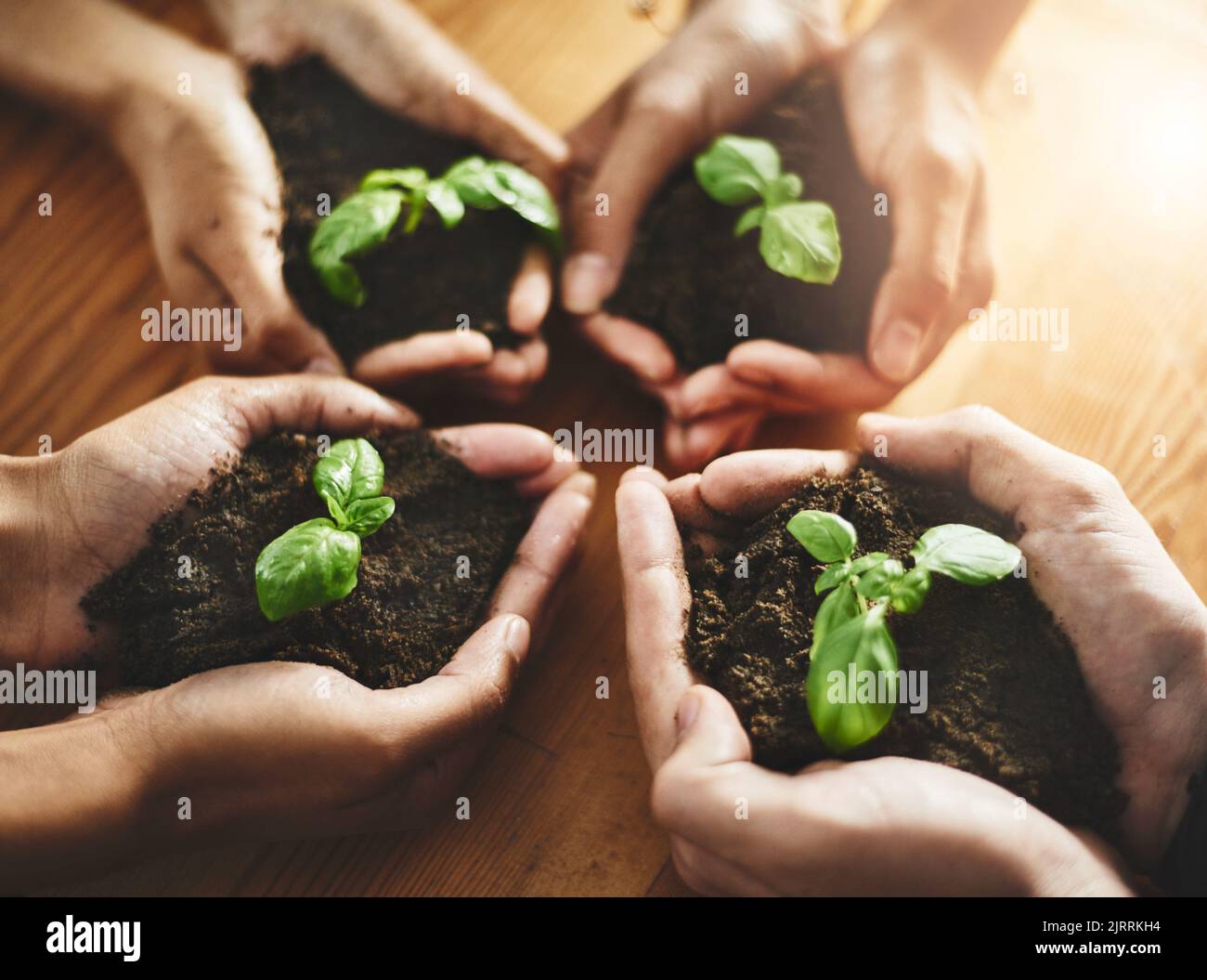 Nature, sustainability and earth soil growth showing teamwork, green ...