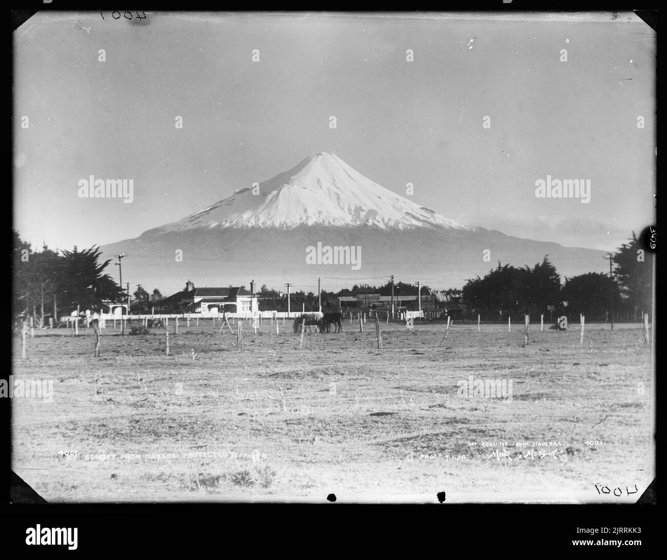 Dunedin volcano hi-res stock photography and images - Alamy