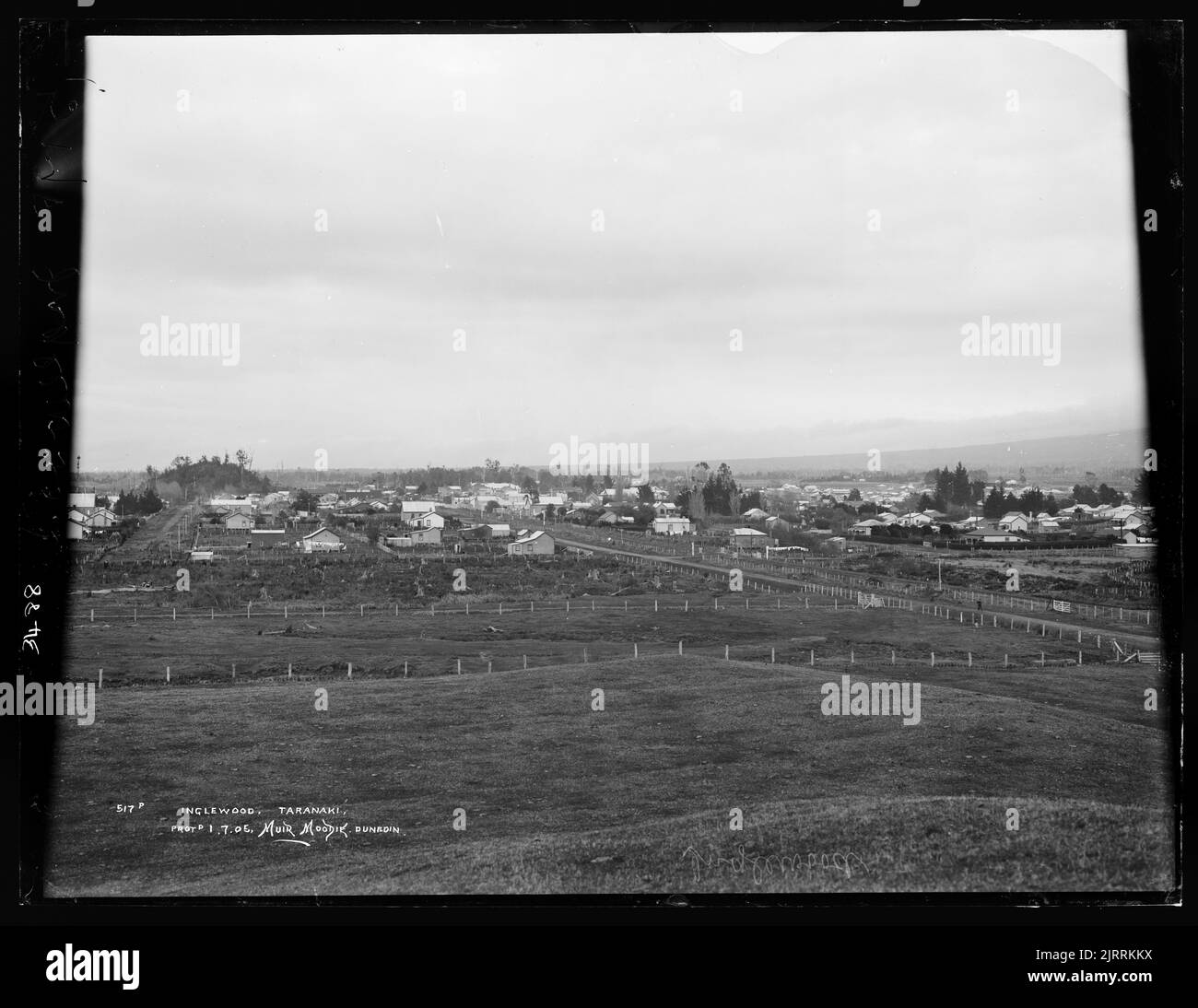 Inglewood, Taranaki, circa 1905, New Zealand, by Muir & Moodie Stock ...
