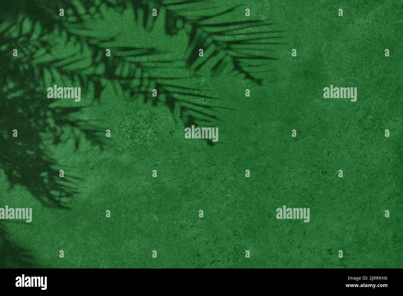 Fir tree shadows on dark green concrete wall texture background Stock ...