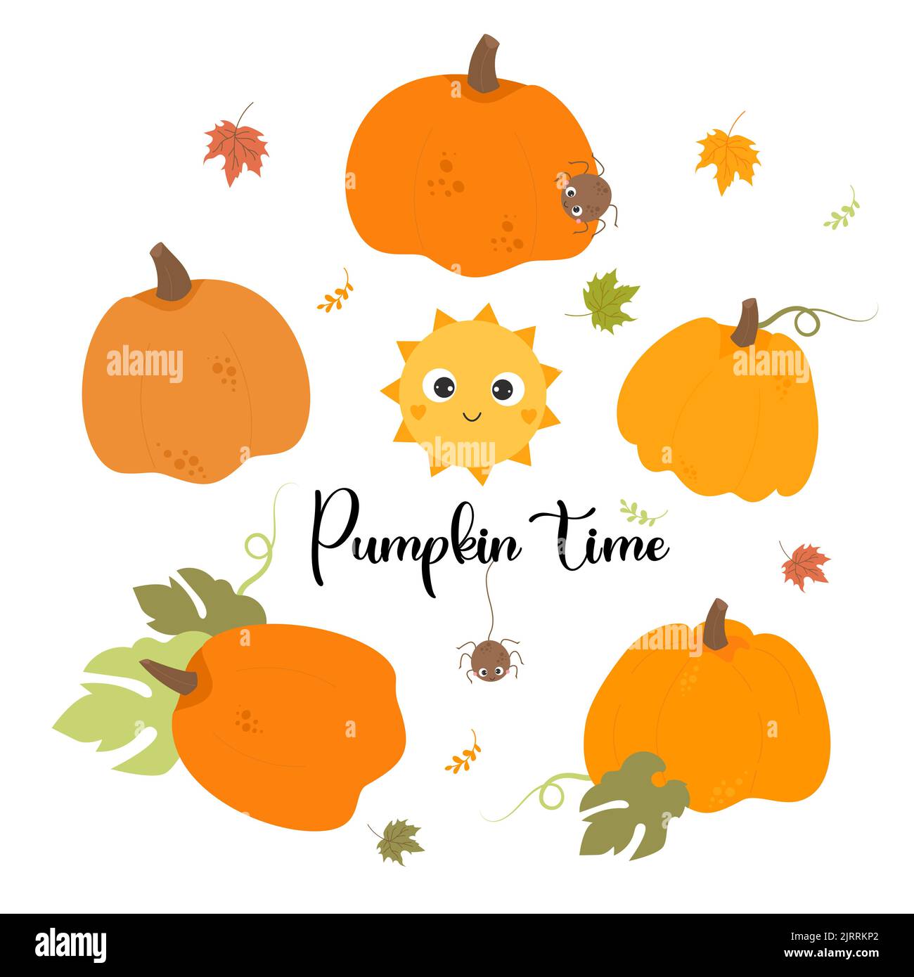Collection of fall orange pumpkins, cute sun, spider insects and autumn ...