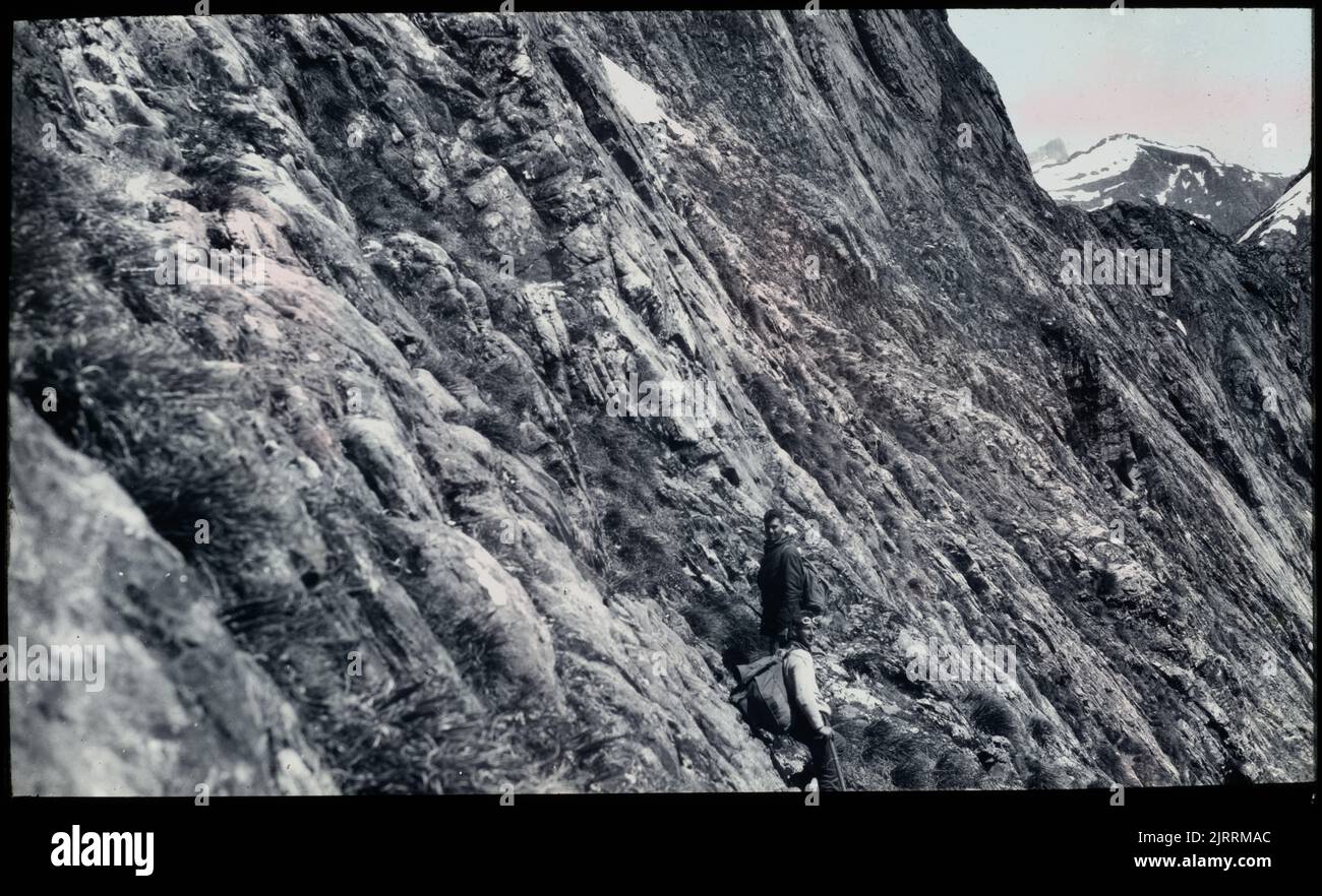 At the Elbow 800ft below Grave's Pass on Esperance Side, West Coast, by ...