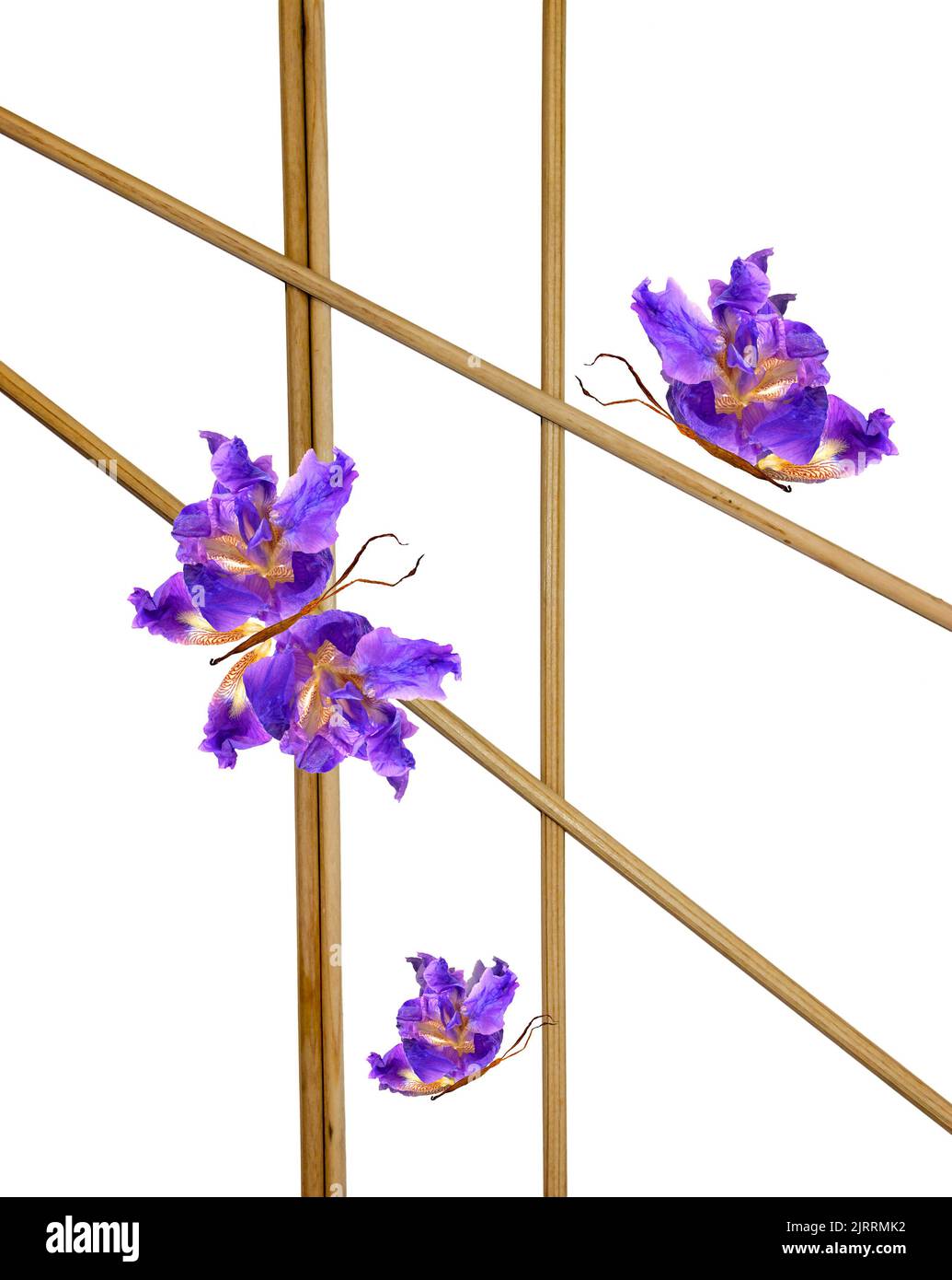 floral butterfly made of flowers on bamboo sticks lined grille frame ...