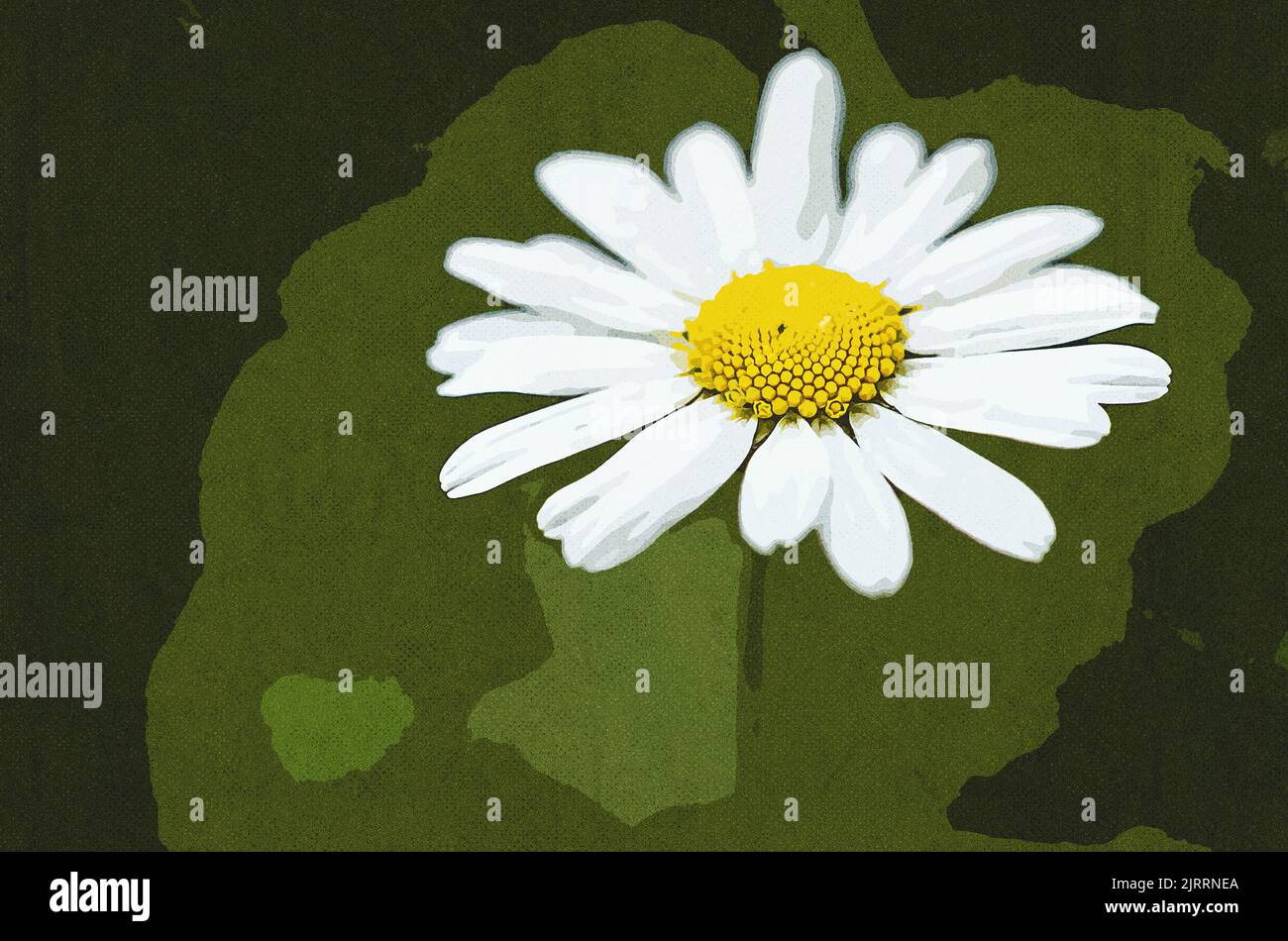 Fujifilm x series hi-res stock photography and images - Alamy