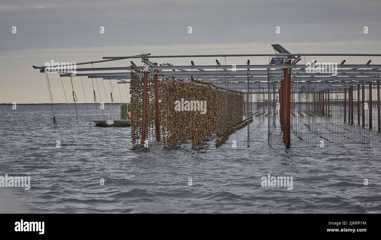 An aerial view of fishing area in France Stock Photo - Alamy