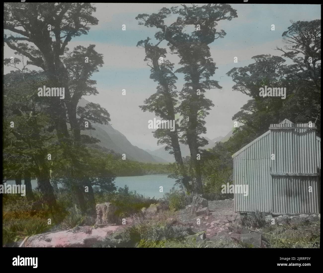 Lake Howden from the hut, West Coast, by Algernon Charles Gifford. Gift ...