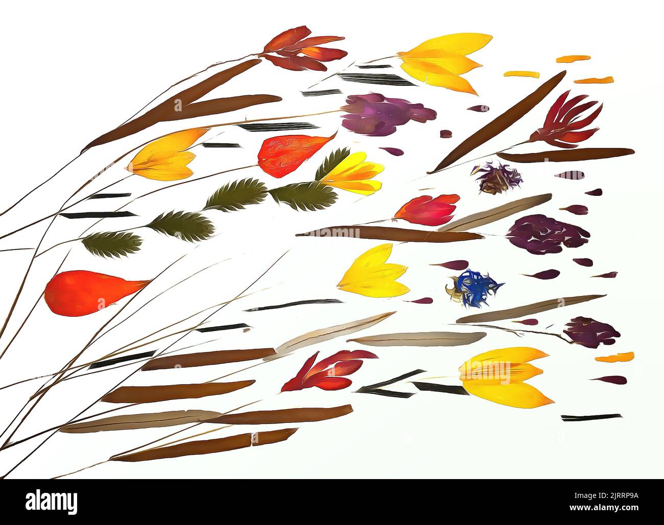 drawing of dried fall leaves and flowers on a lattice of thin straws ...