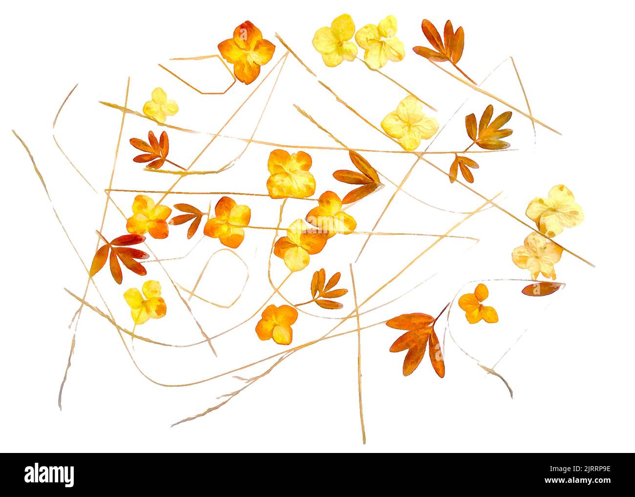 Modern scrapbook Cut Out Stock Images & Pictures - Alamy