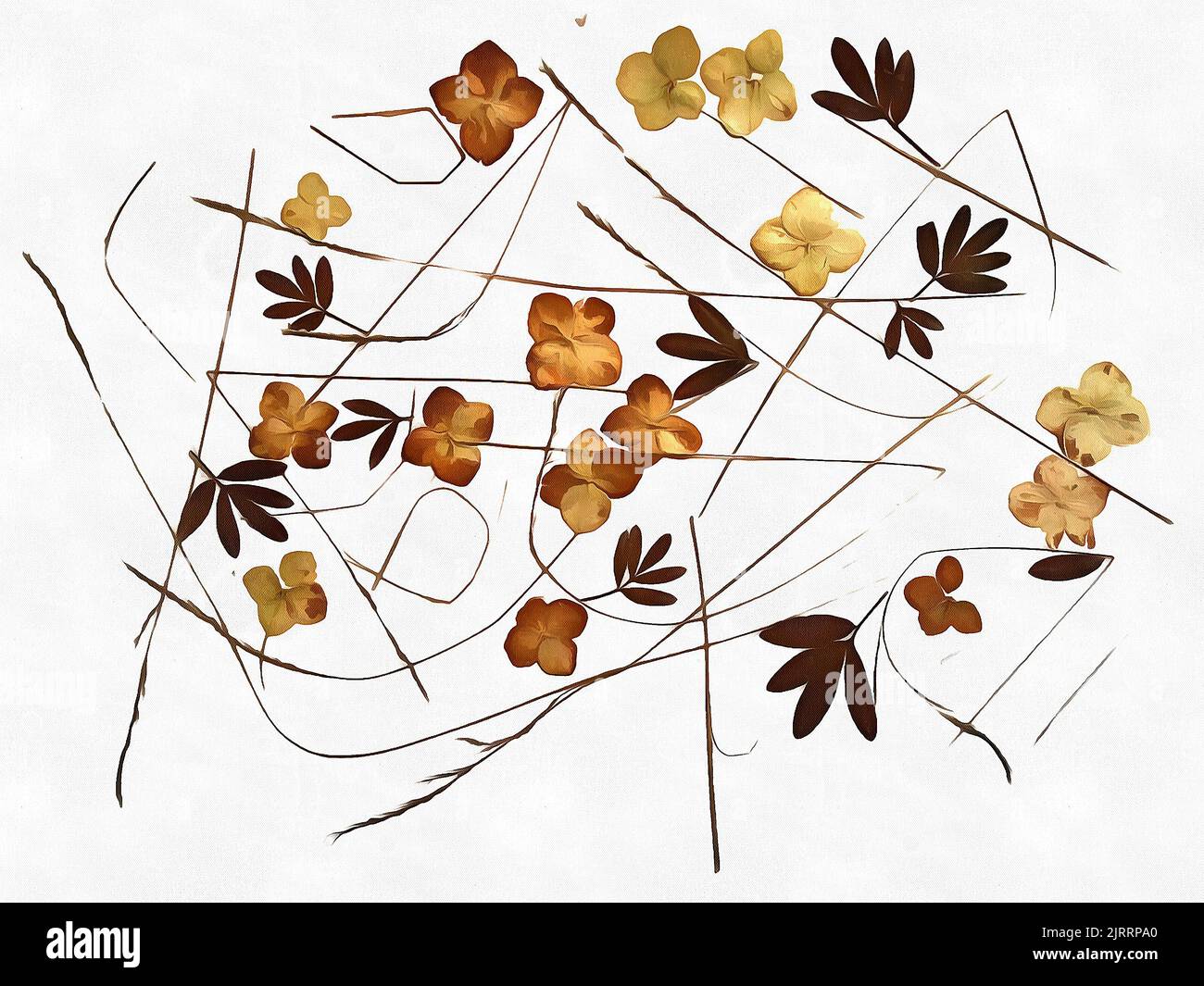 drawing of dried fall leaves and flowers on a lattice of thin straws ...
