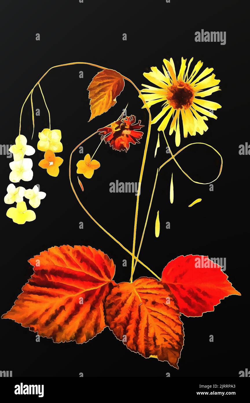 drawing of dried fall leaves and flowers on a lattice of thin straws ...