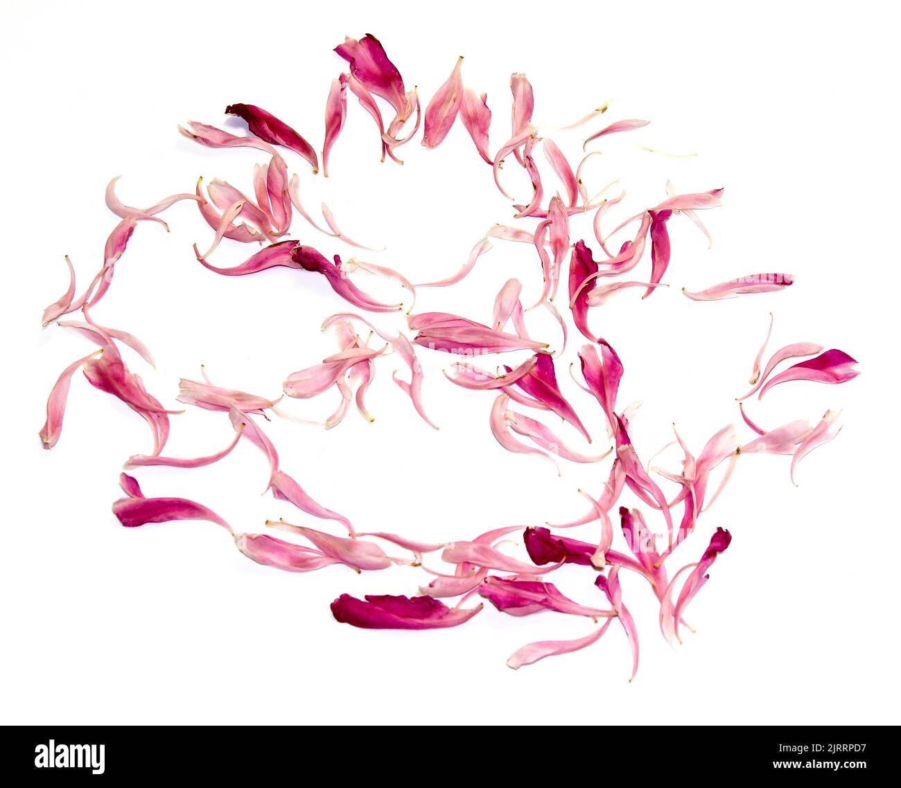 Flying peon hi-res stock photography and images - Alamy