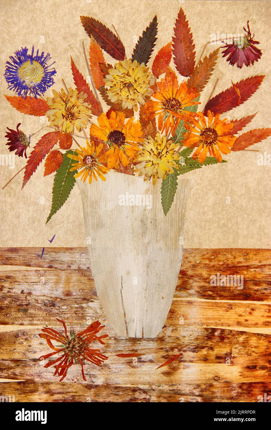 drawing of dried fall leaves of plants and branches isolated elements ...