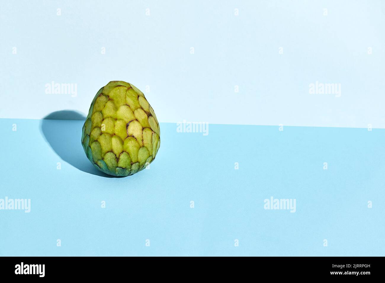 Sugar-apple, fruit of Annona squamosa cherimoya on blue Stock Photo - Alamy