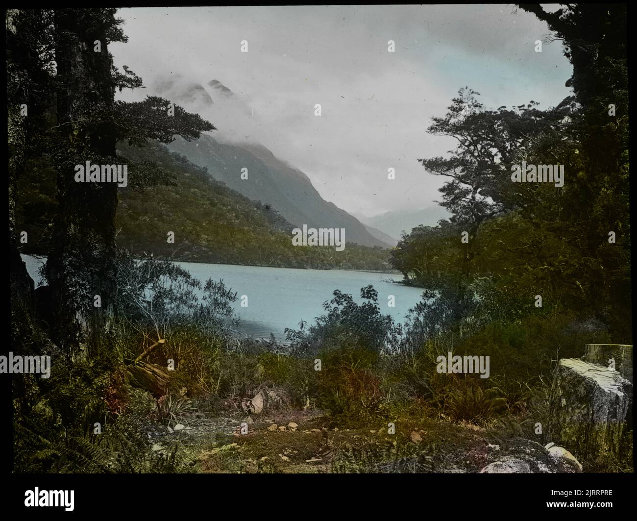 Lake Howden from the Hut, West Coast, by Algernon Charles Gifford. Gift ...