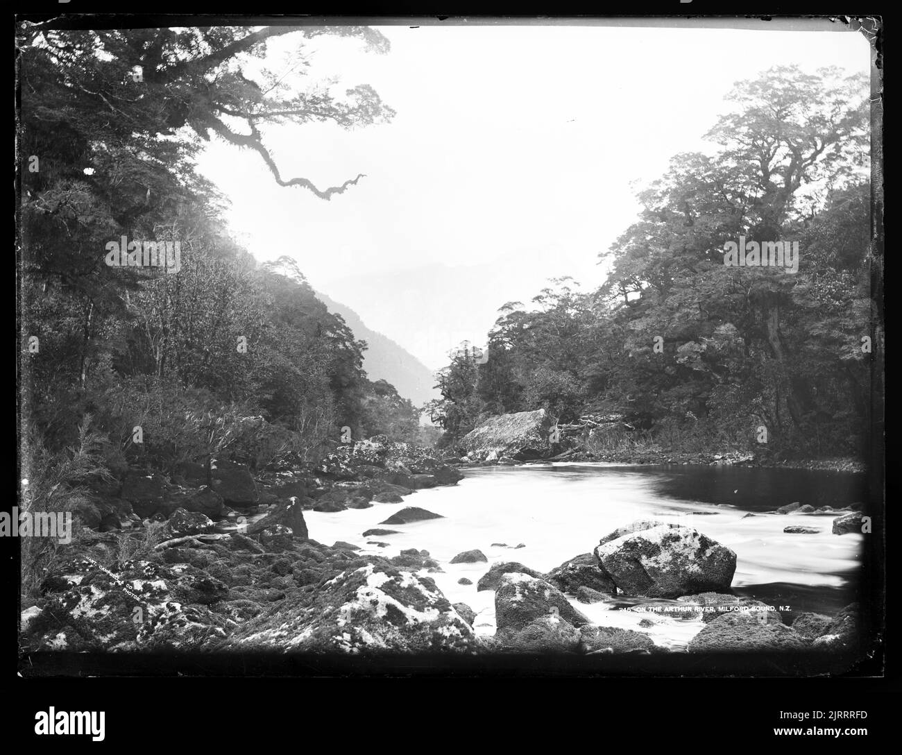 Nz on the arthur river hi-res stock photography and images - Alamy