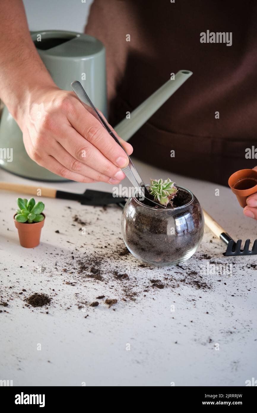 Repot hi-res stock photography and images - Alamy