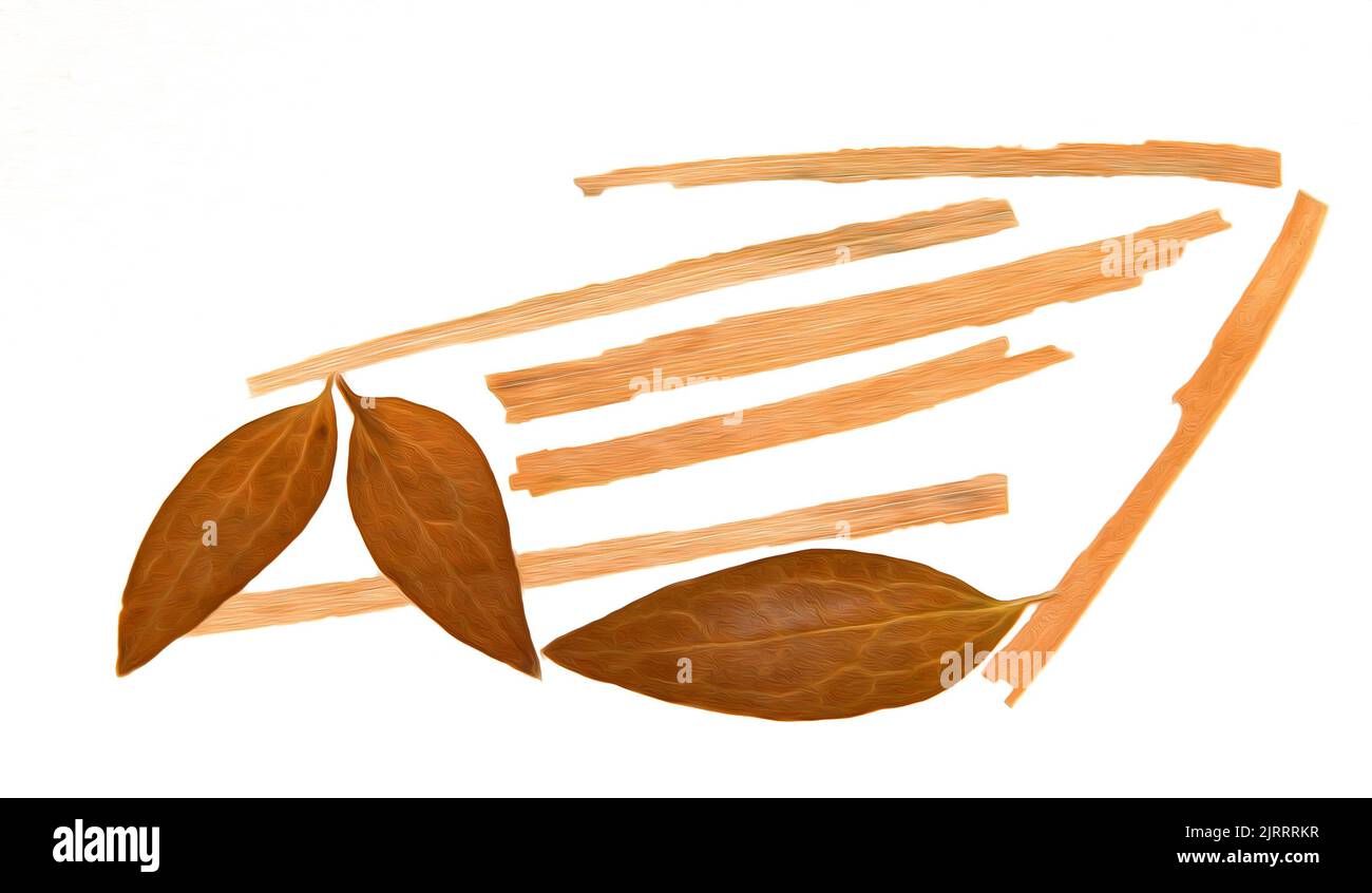 dried corn leaves arrow, roughage autumn fall leaf, wooden planks ...