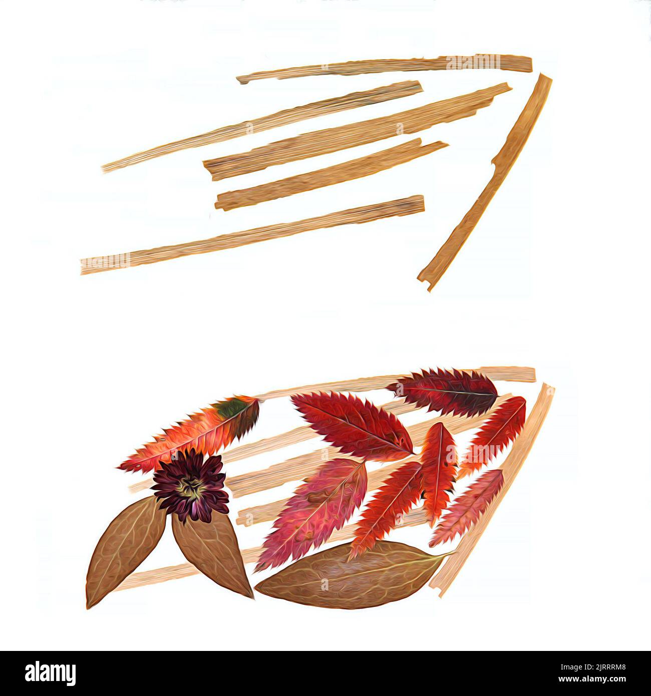 oil paint dry leaf corn, arrow; pointer; direction; band; stick pressed ...