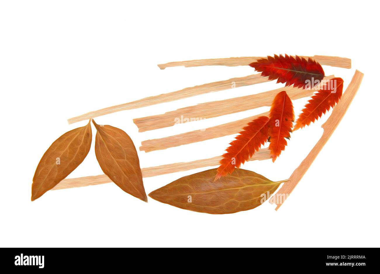 dried corn leaves arrow, roughage autumn fall leaf, wooden planks ...