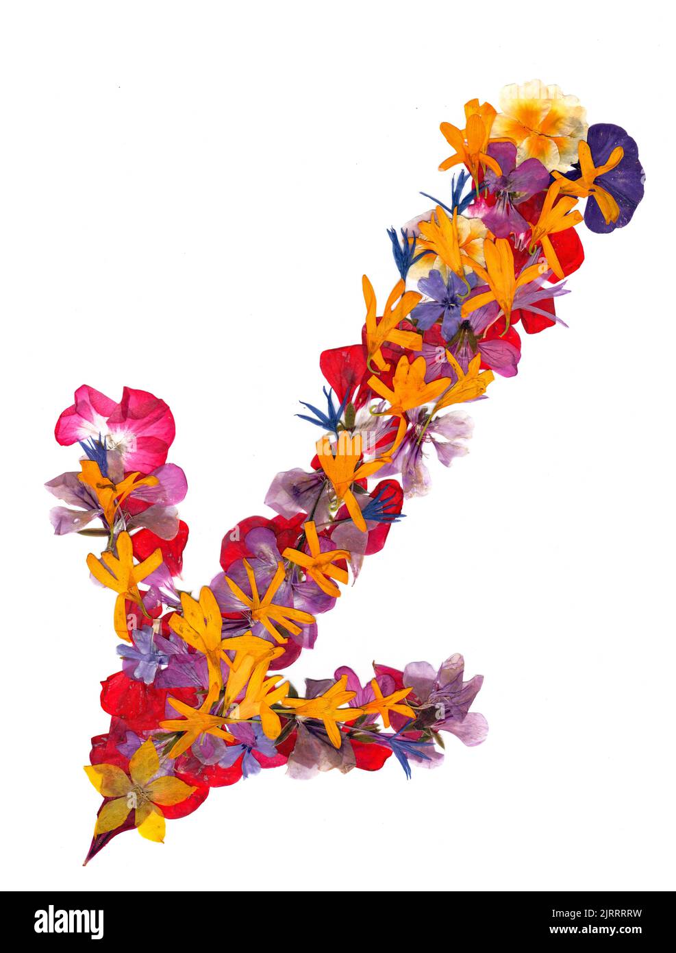 Arrows with outline hi-res stock photography and images - Alamy